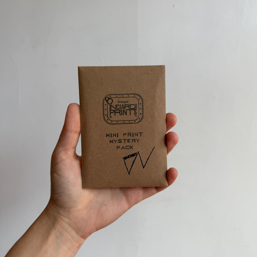 Whitney Museum of American Art Mini Print Mystery Packs – Inciardi Prints